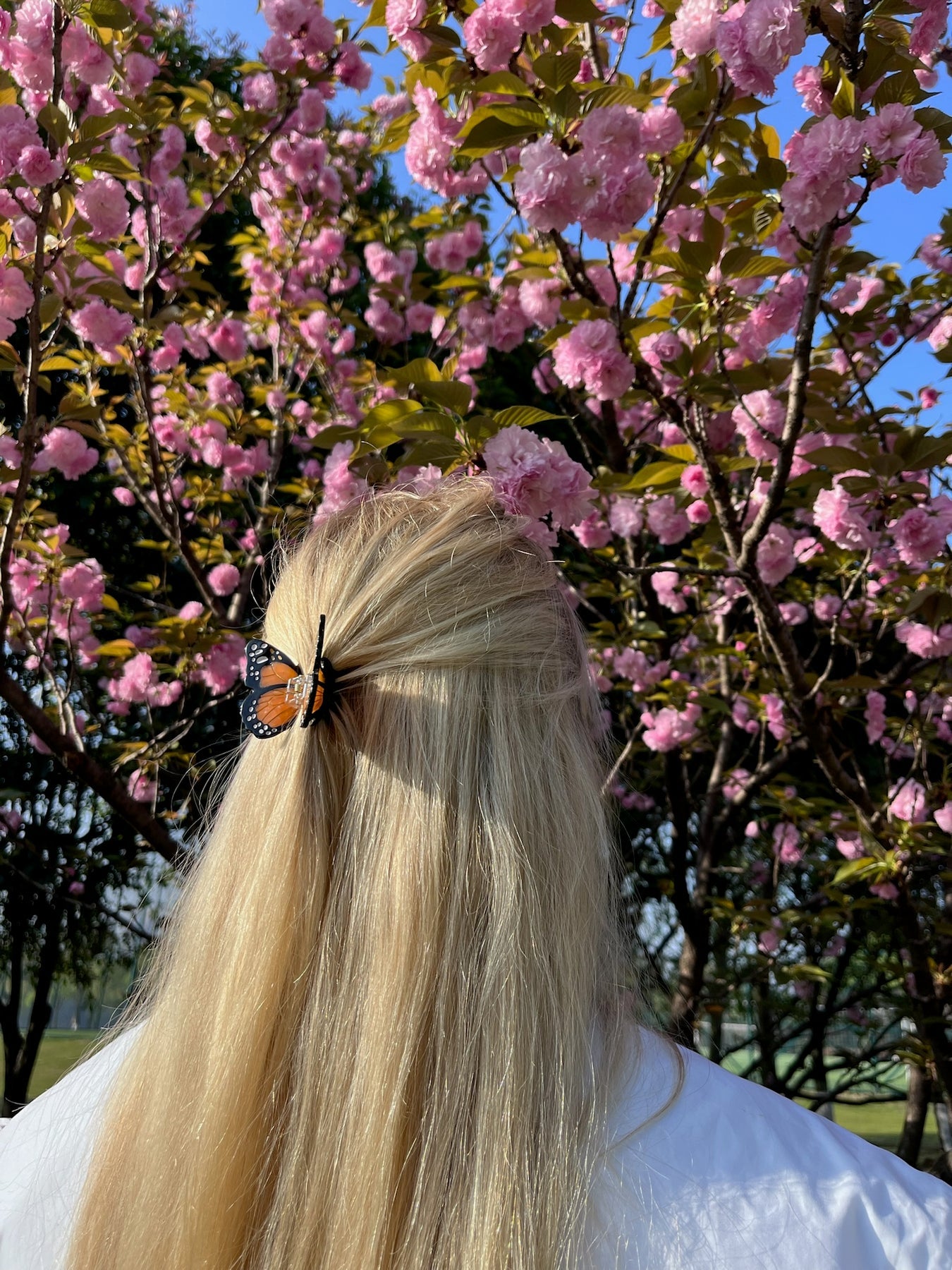 Solar Eclipse Hand-painted White Mini Monarch Claw Hair Clip – CHROME